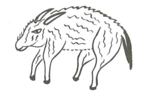 Torakichi (1806 – 1860): Amazing Boy Who Was Taken Away to Another ...